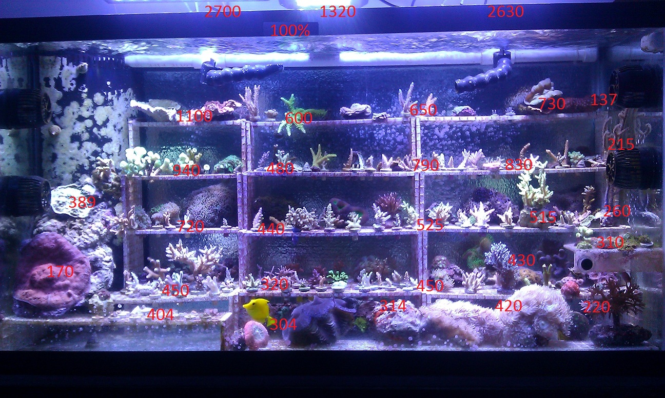 Large Build - 320 Gallon SPS Build | Page 2 | Reef2Reef
