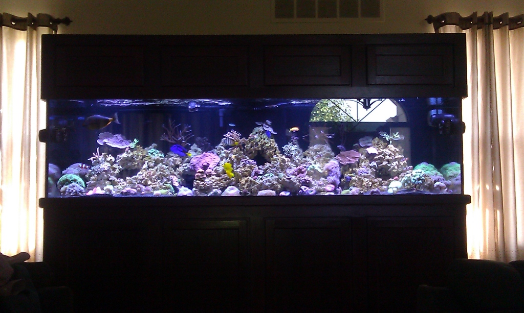 Large Build - 320 Gallon SPS Build | Page 5 | Reef2Reef